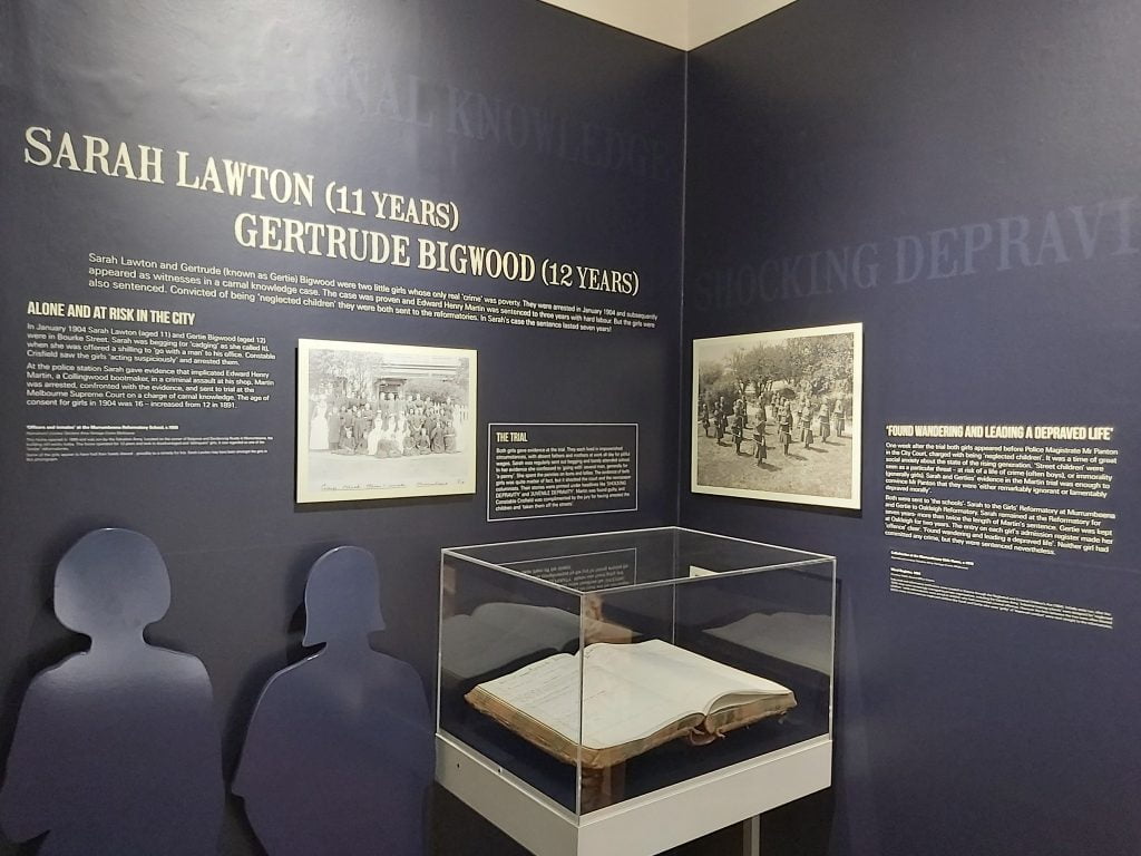 The Story of Sarah and Gertie - Janine Booth